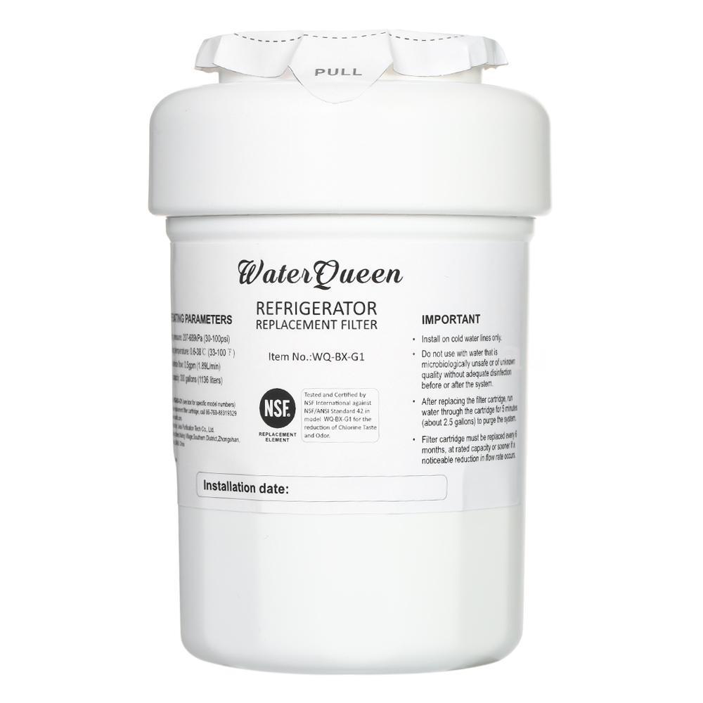 Premium Replacement Water Filter Cartridge for GE MWF MWFA GWF GWFA Fr ...